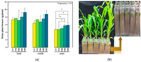 Applying Hydrochar Affects Soil Carbon Dynamics by Altering the ...