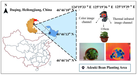 Agronomy | Free Full-Text | Recognition Method of Crop Disease Based on ...