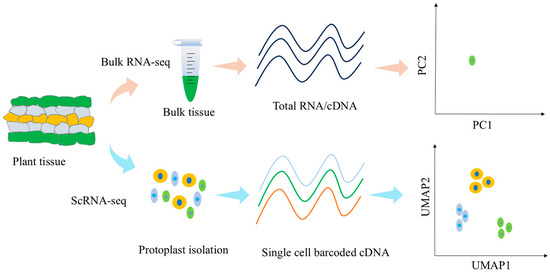 Research Progress of Single-Cell Transcriptome Sequencing Technology in ...