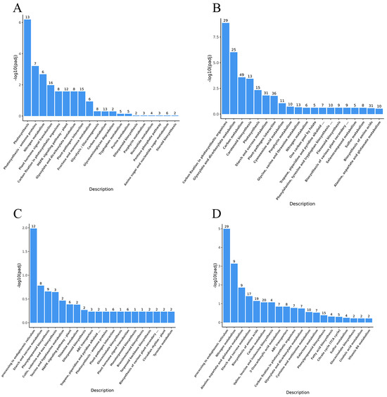 Agronomy | An Open Access Journal from MDPI