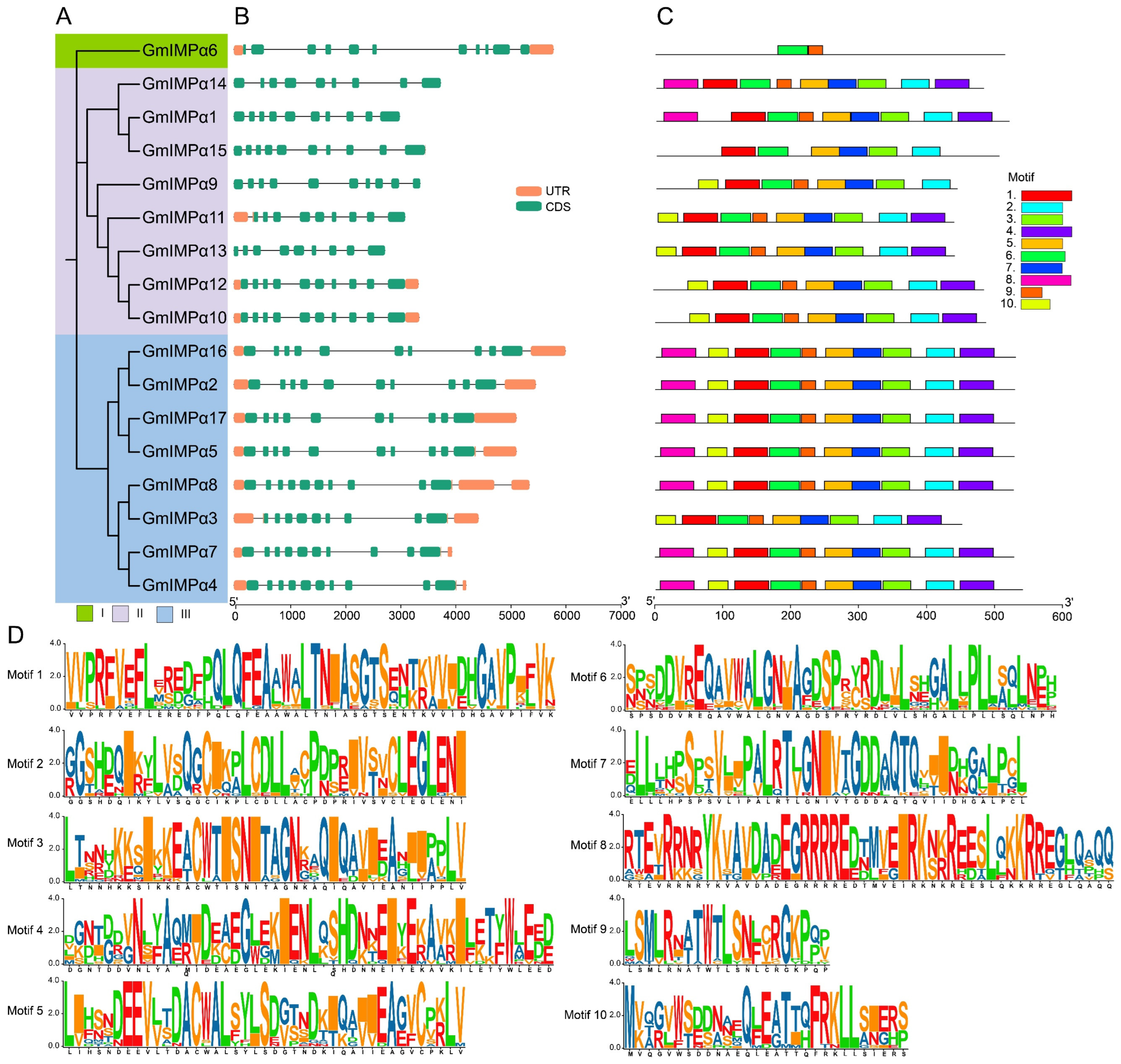 Genome-Wide Identification, Expression Profile and Evolution Analysis ...