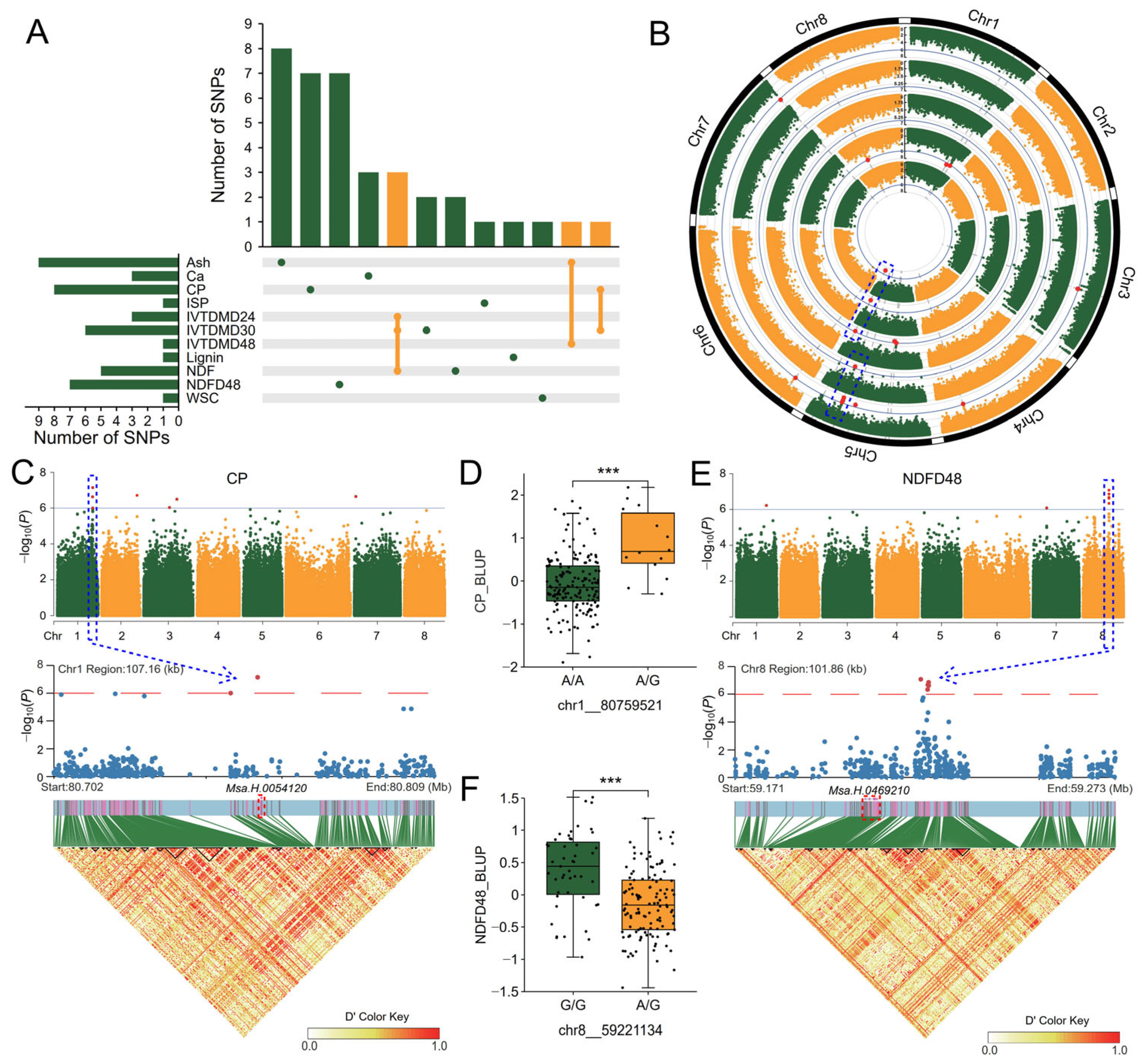Determining the Genetic Architecture and Breeding Potential of Quality ...