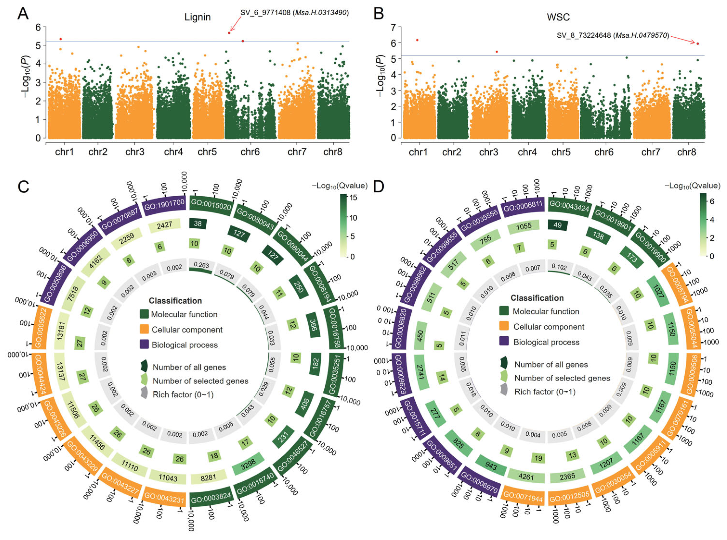 Determining the Genetic Architecture and Breeding Potential of Quality ...