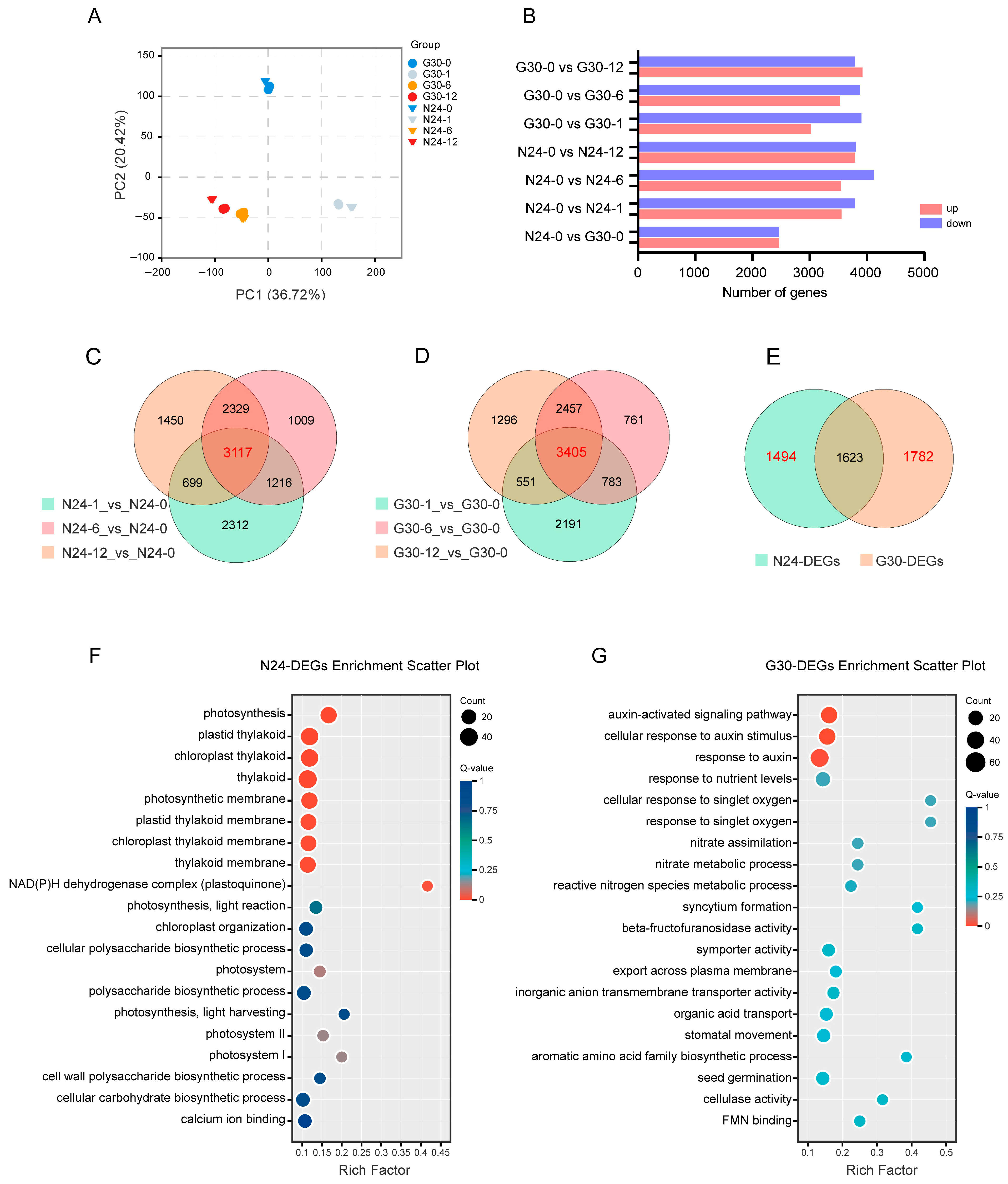 Coordinated Transcriptional and Metabolic Reprogramming Confers Heat ...
