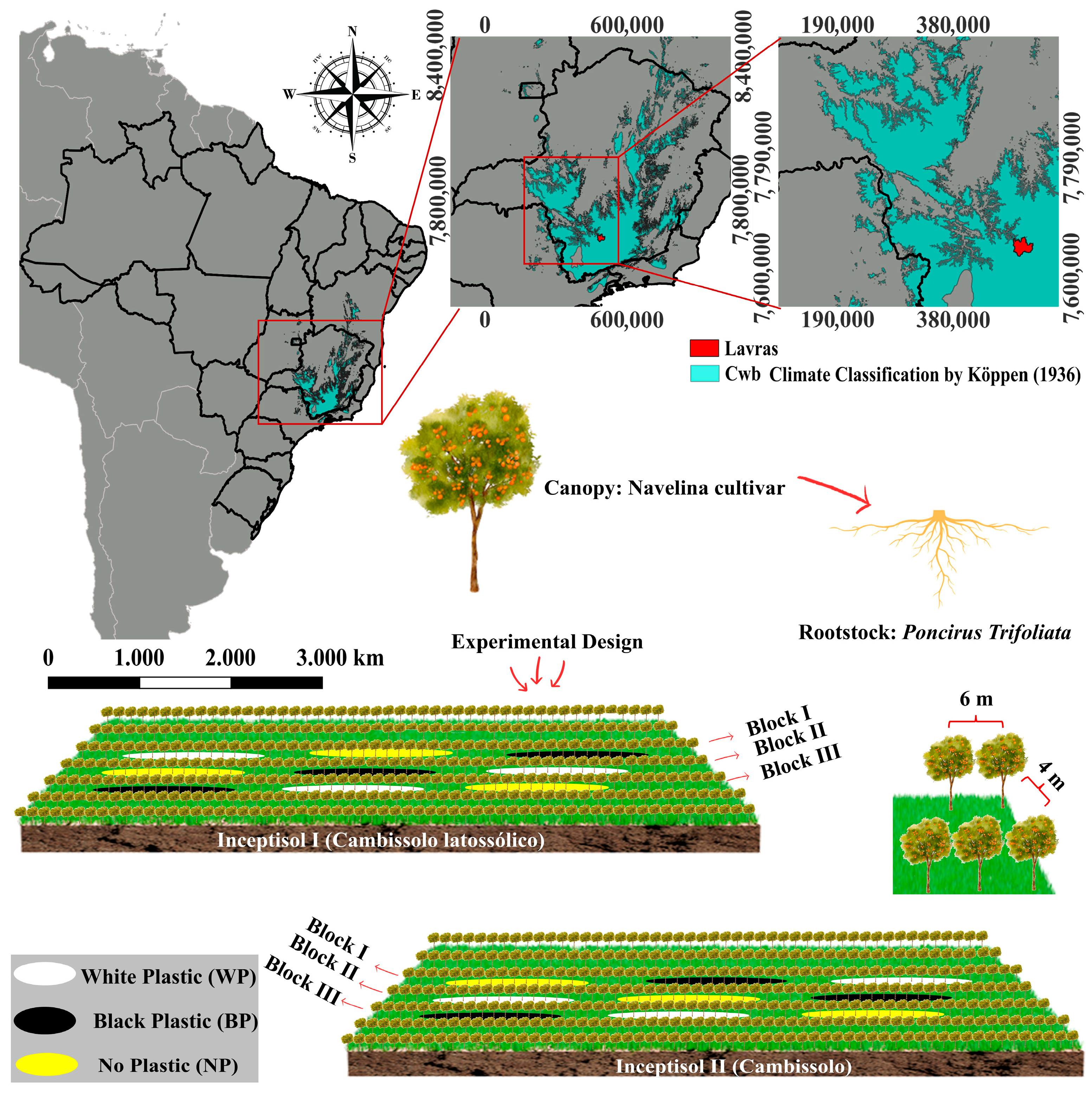 Can Plastic Mulching Enhance Soil Physical Conditions and Mitigate ...