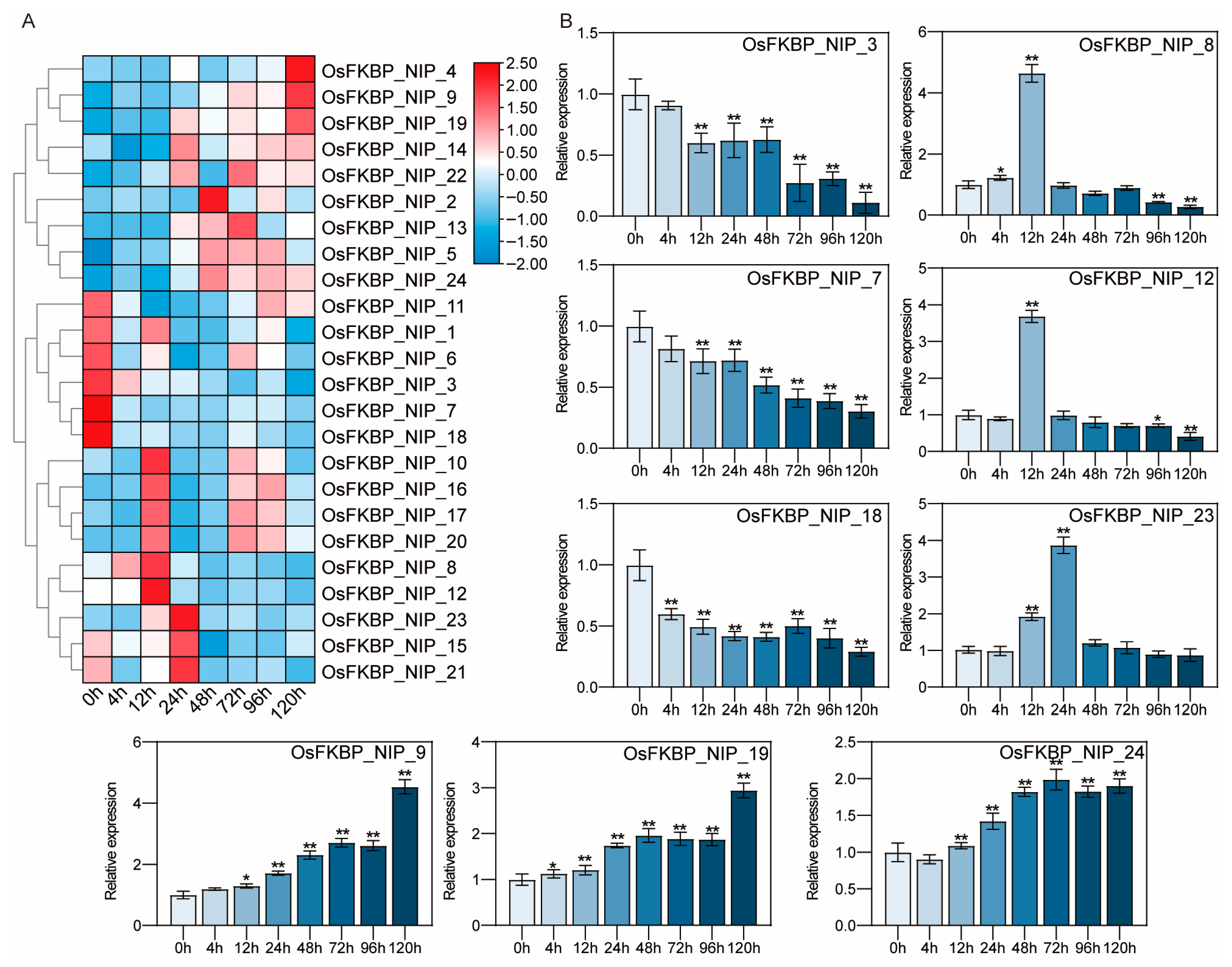 Genome-Wide Identification of the FKBP Gene Family in Rice and Its ...