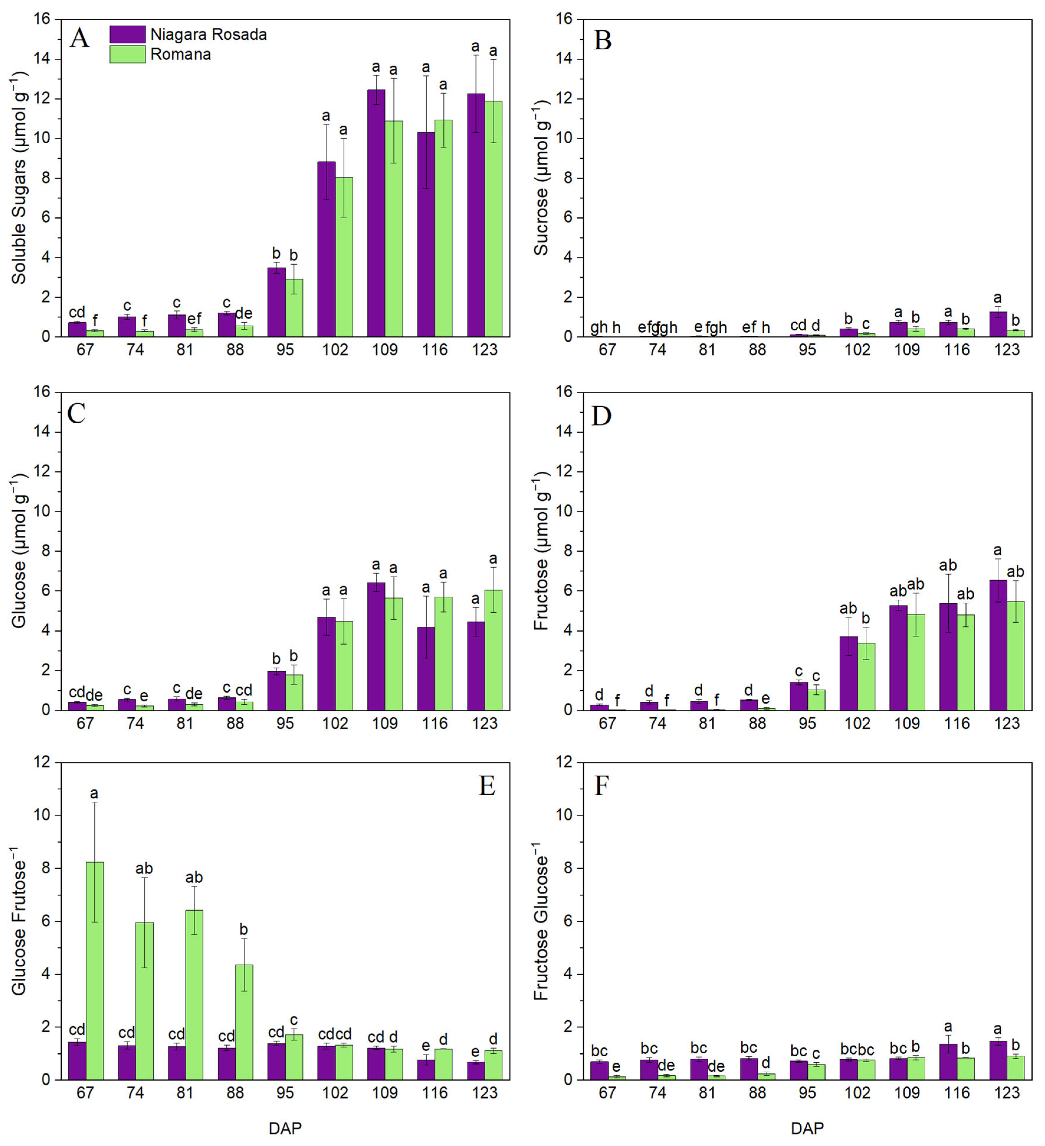 Non-Invasive Assessment of Grape Berry Development and Metabolic ...