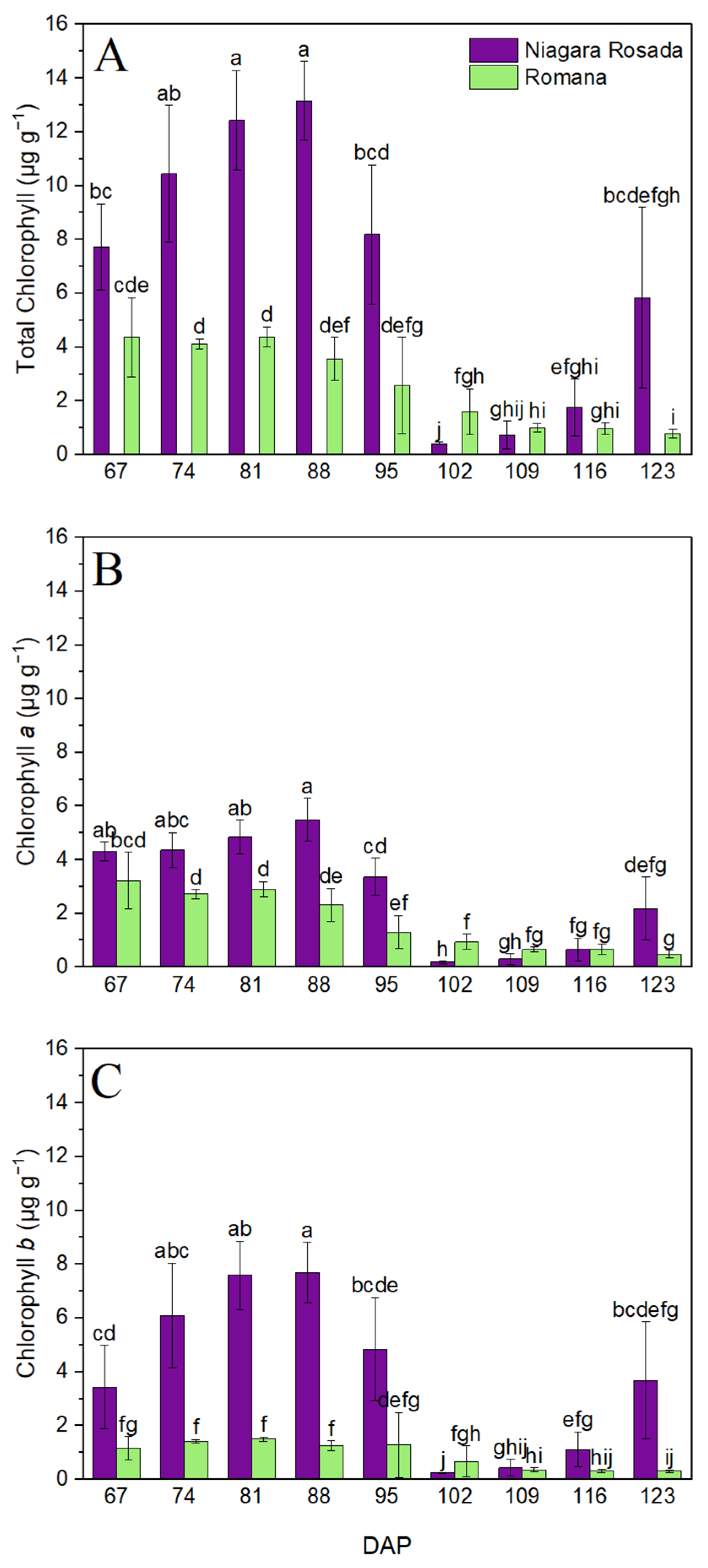 Non-Invasive Assessment of Grape Berry Development and Metabolic Maturation Under Tropical Field ...