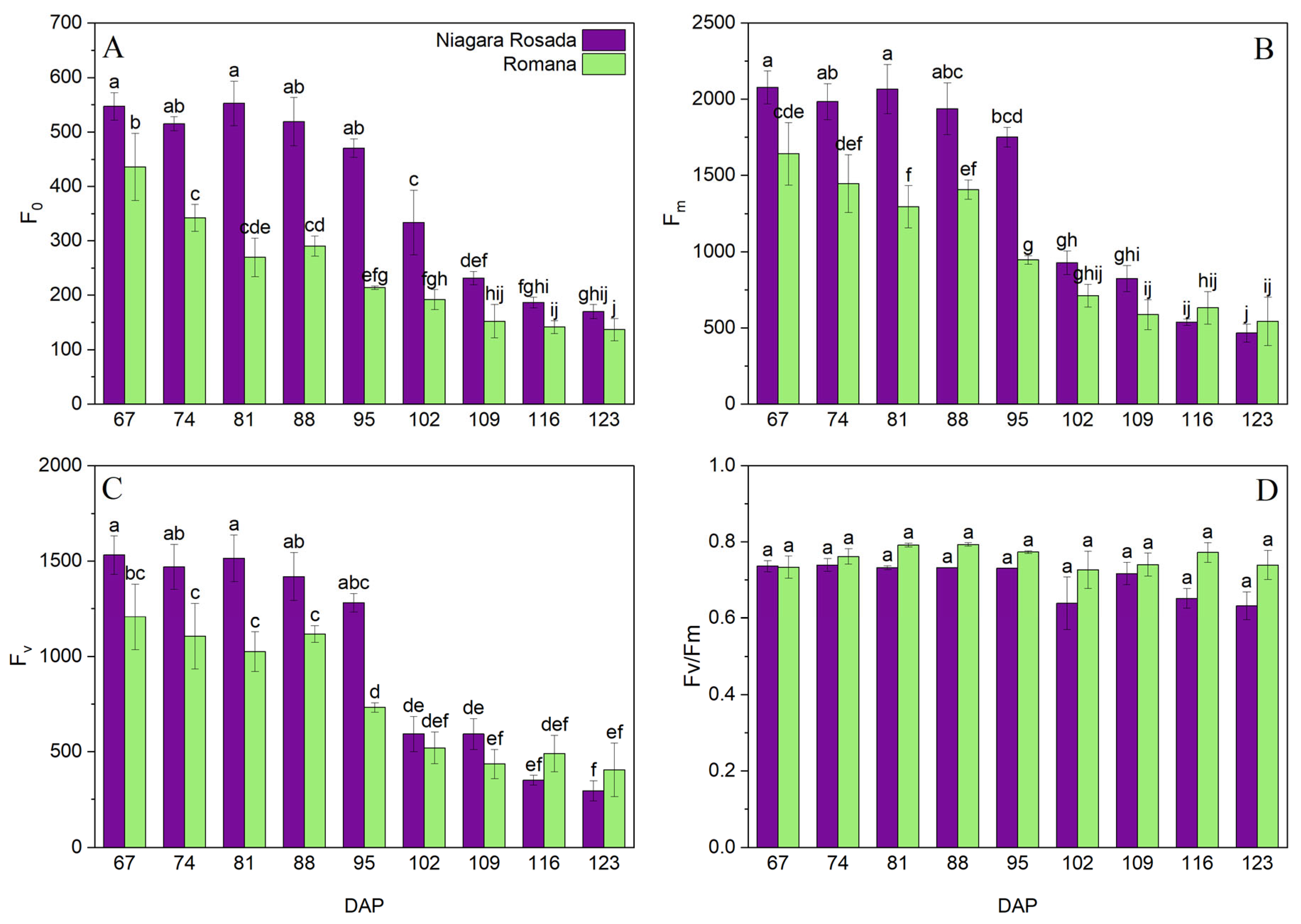 Non-Invasive Assessment of Grape Berry Development and Metabolic Maturation Under Tropical Field ...