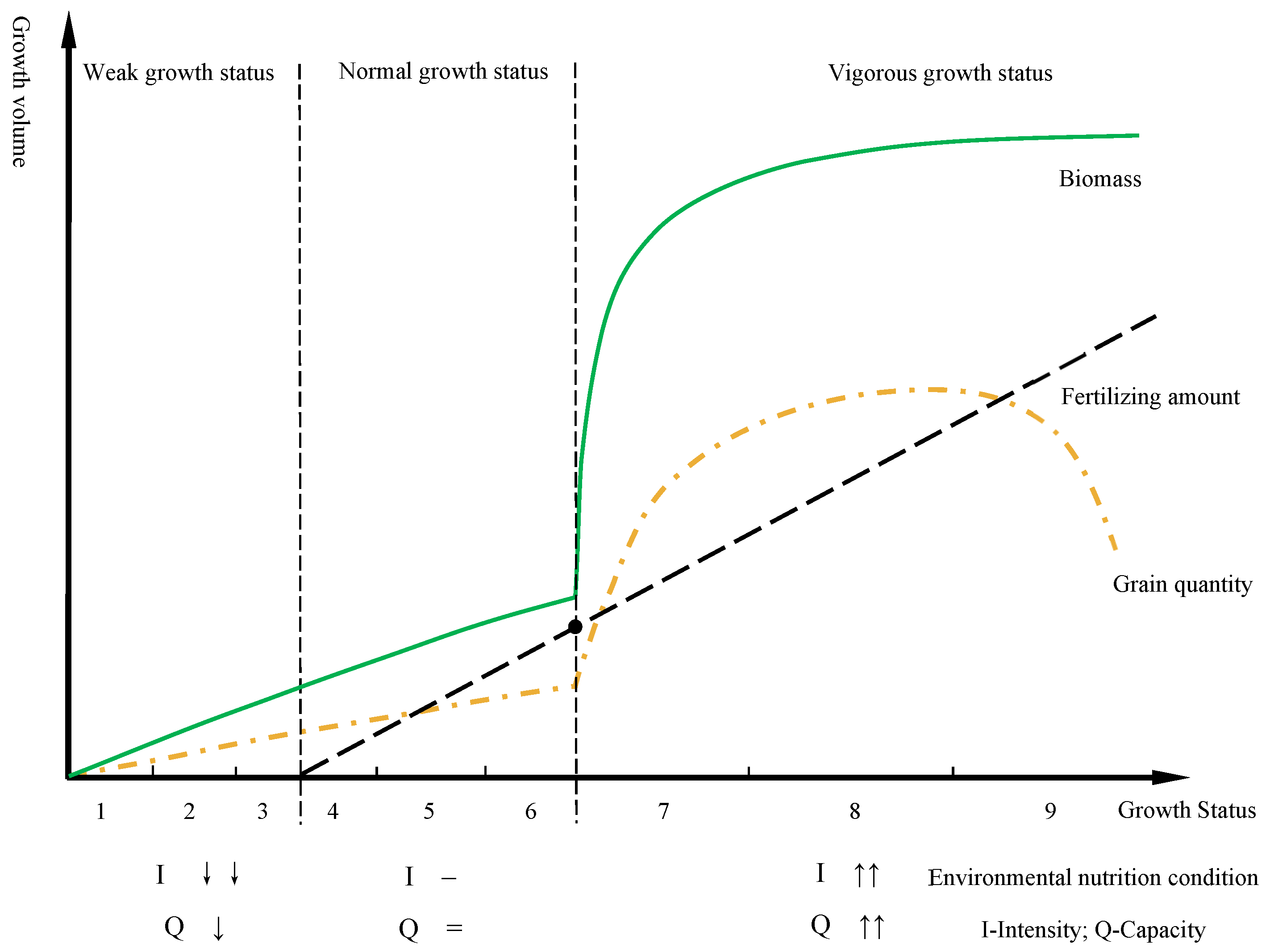 Plant Status Nutrition and “Extremely Dense Planting” Technology