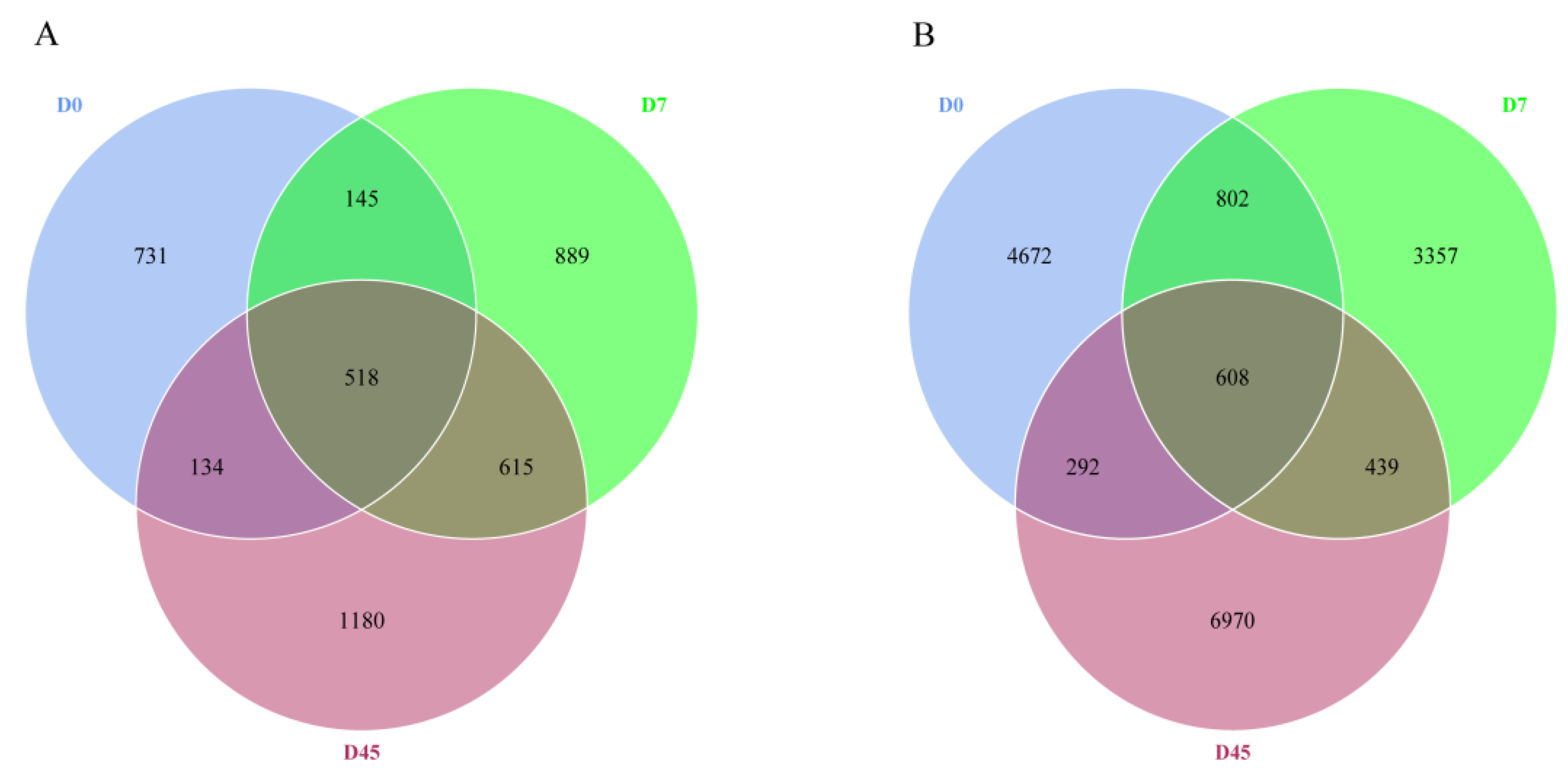 Soil–Plant Microbial Interactions and Their Effects on Silage Quality ...