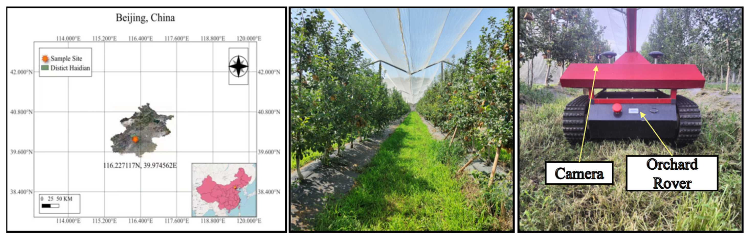 Real-Time Detection and Validation of a Target-Oriented Model for ...
