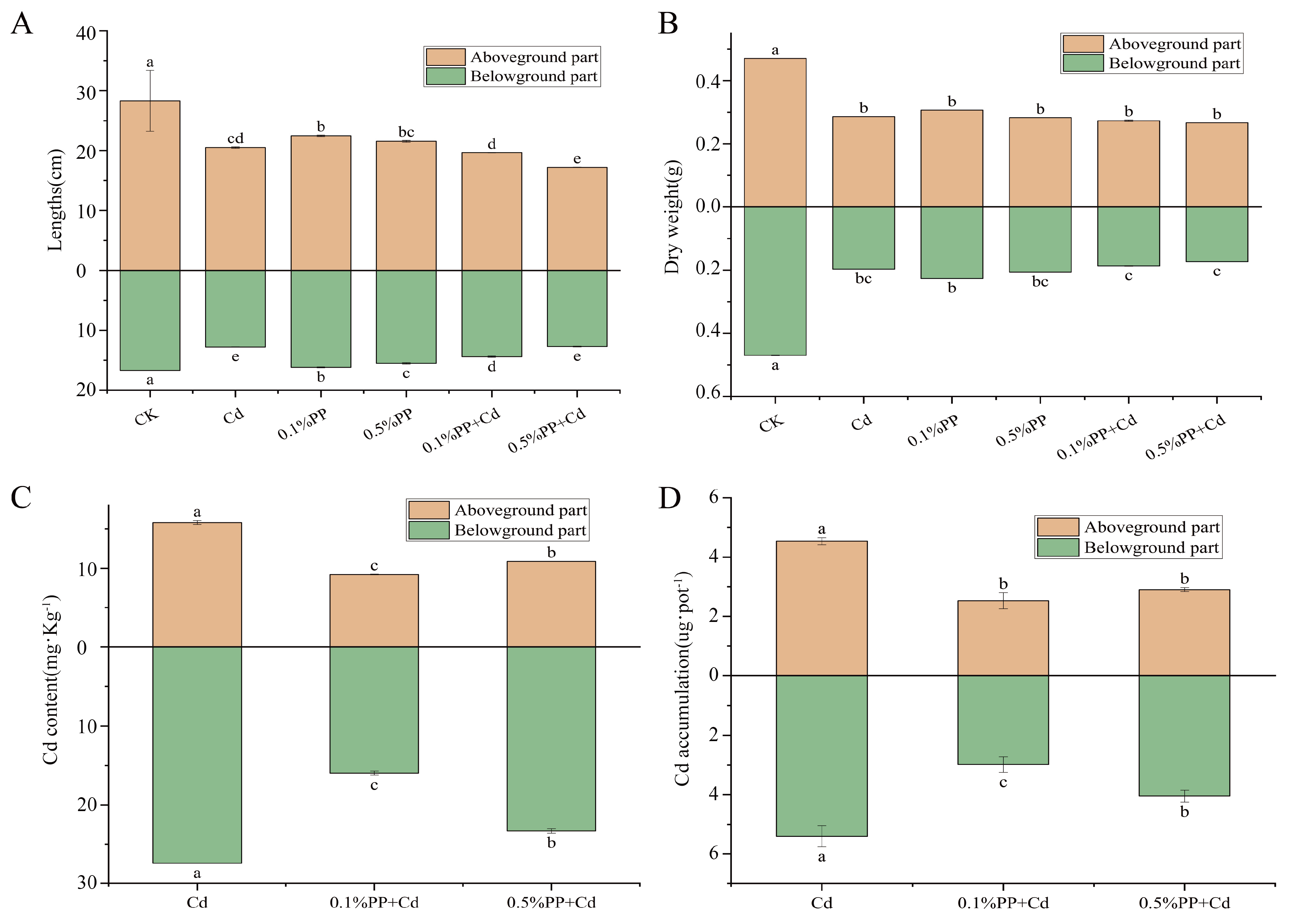 Responses of Sorghum Growth and Rhizosphere–Plastisphere Microbiomes to ...