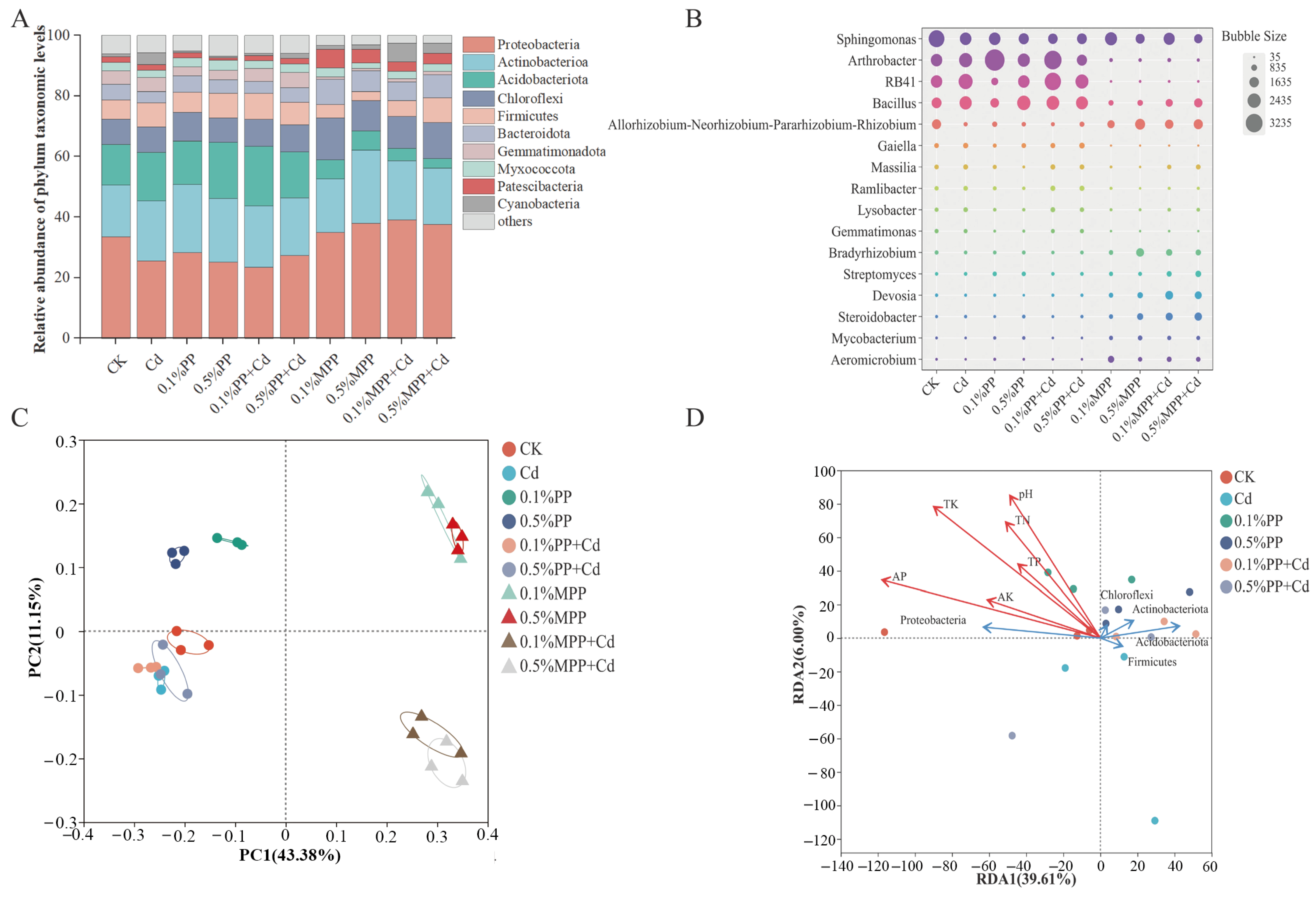 Responses of Sorghum Growth and Rhizosphere–Plastisphere Microbiomes to ...