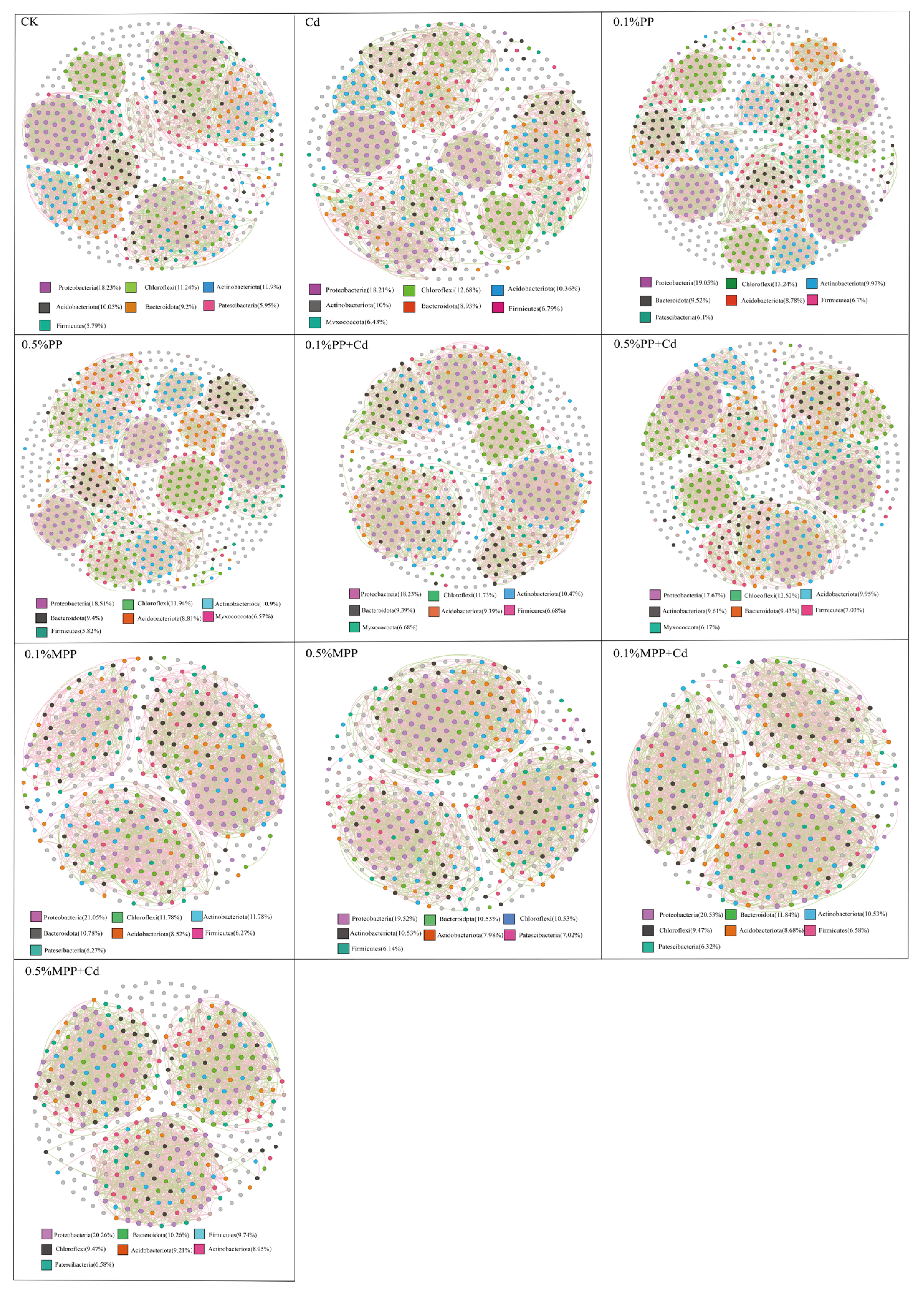 Responses of Sorghum Growth and Rhizosphere–Plastisphere Microbiomes to ...