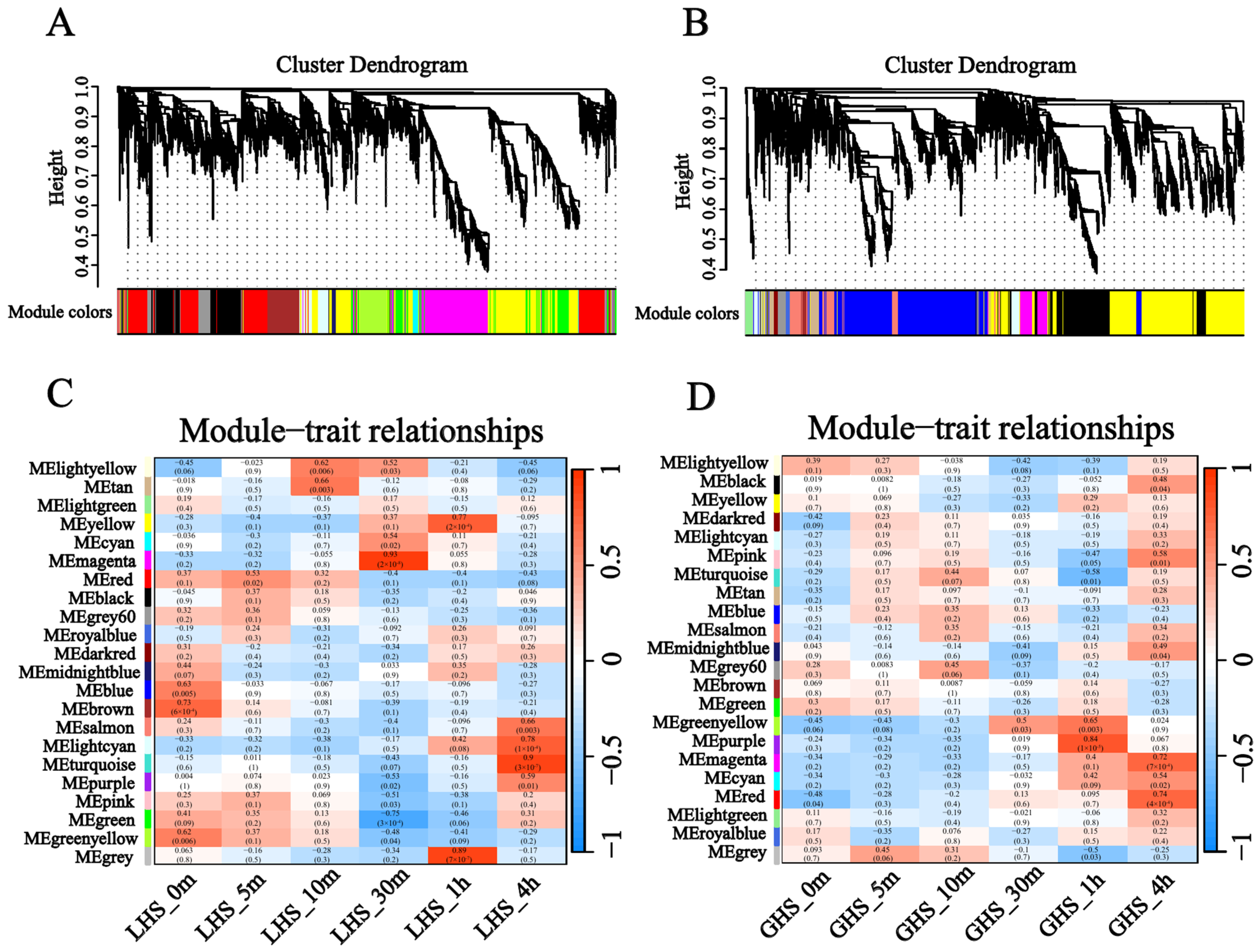 Mining Thermotolerant Candidate Genes Co-Responsive to Heat Stress in ...