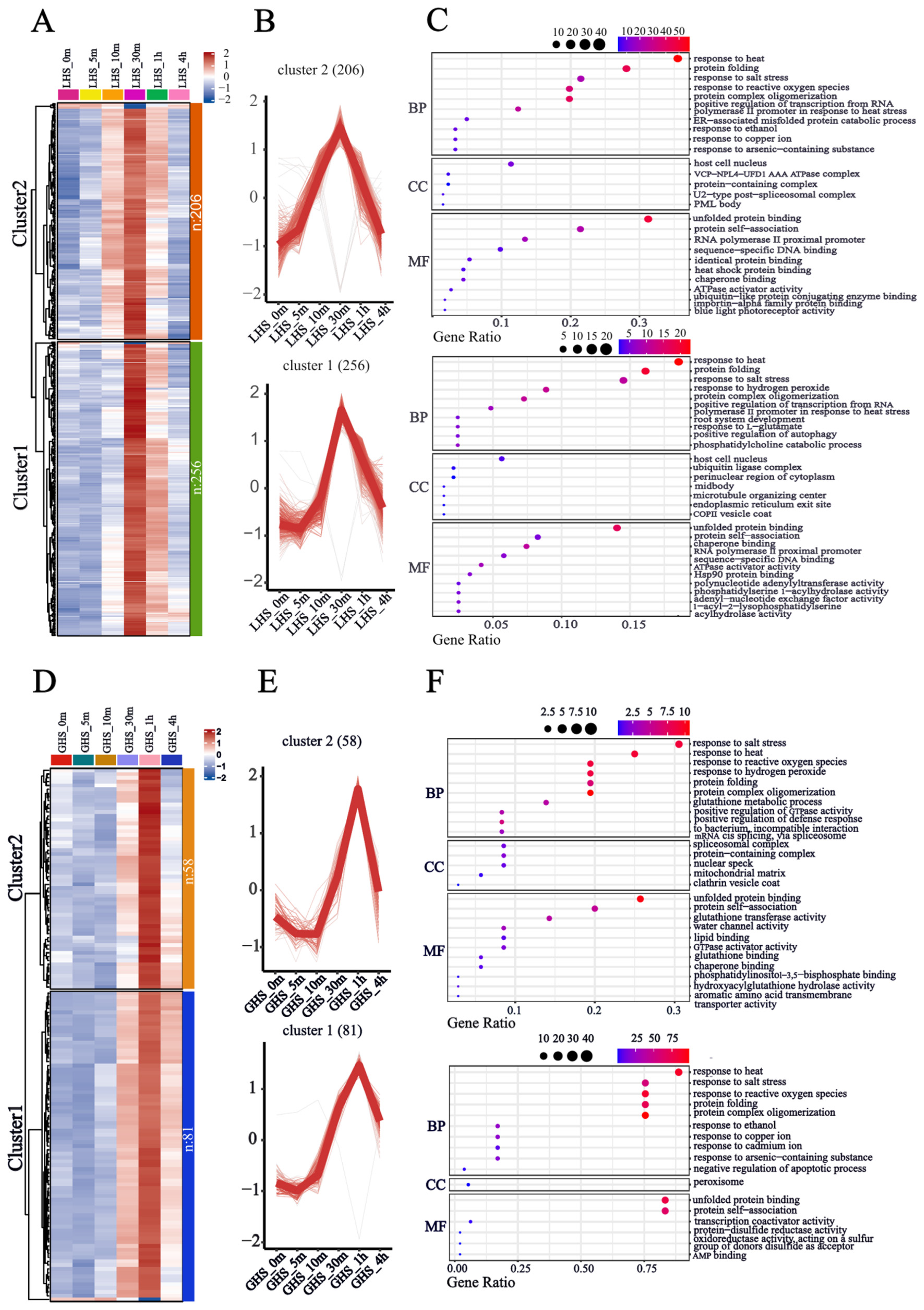 Mining Thermotolerant Candidate Genes Co-Responsive to Heat Stress in ...