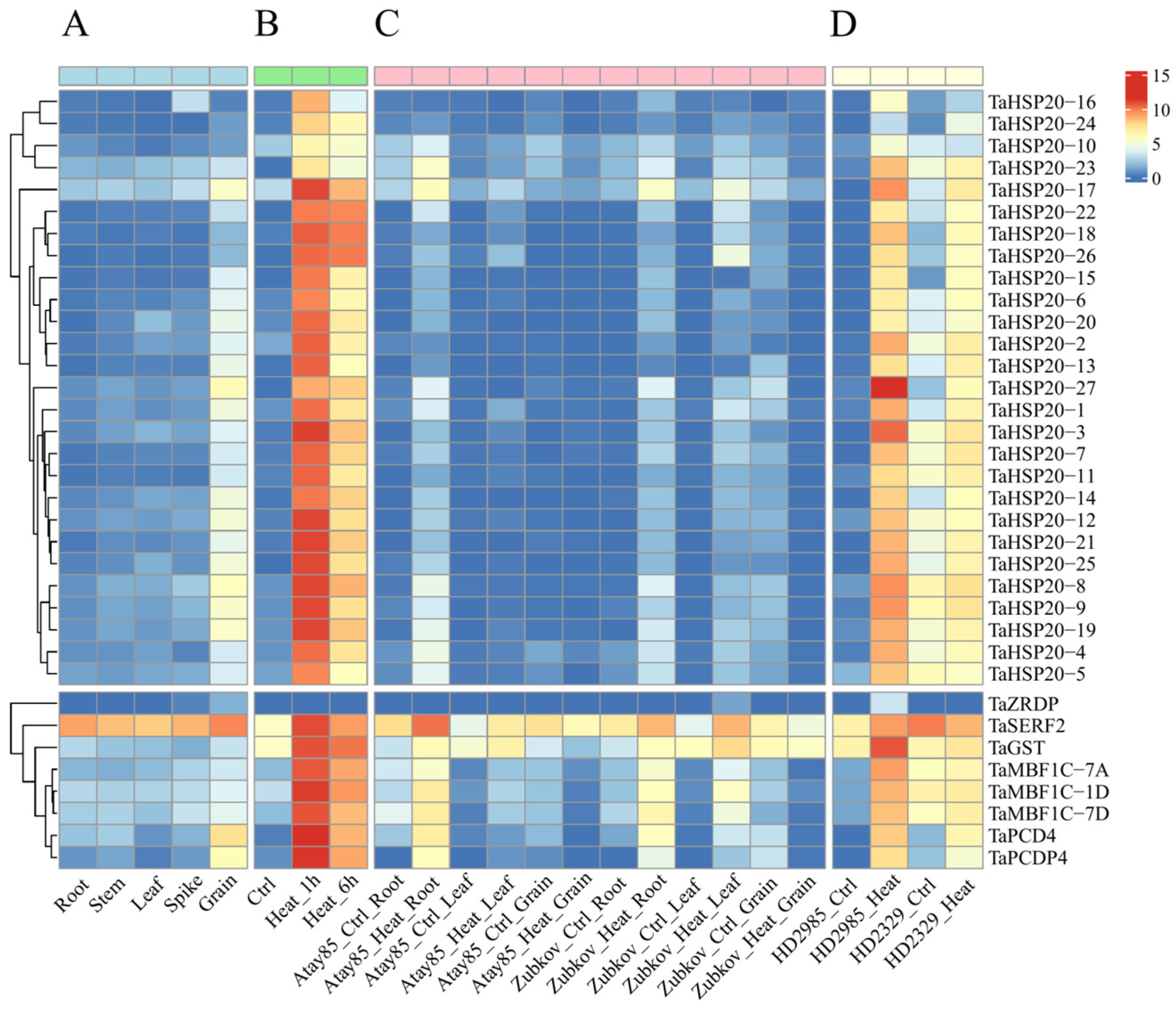 Mining Thermotolerant Candidate Genes Co-Responsive to Heat Stress in ...