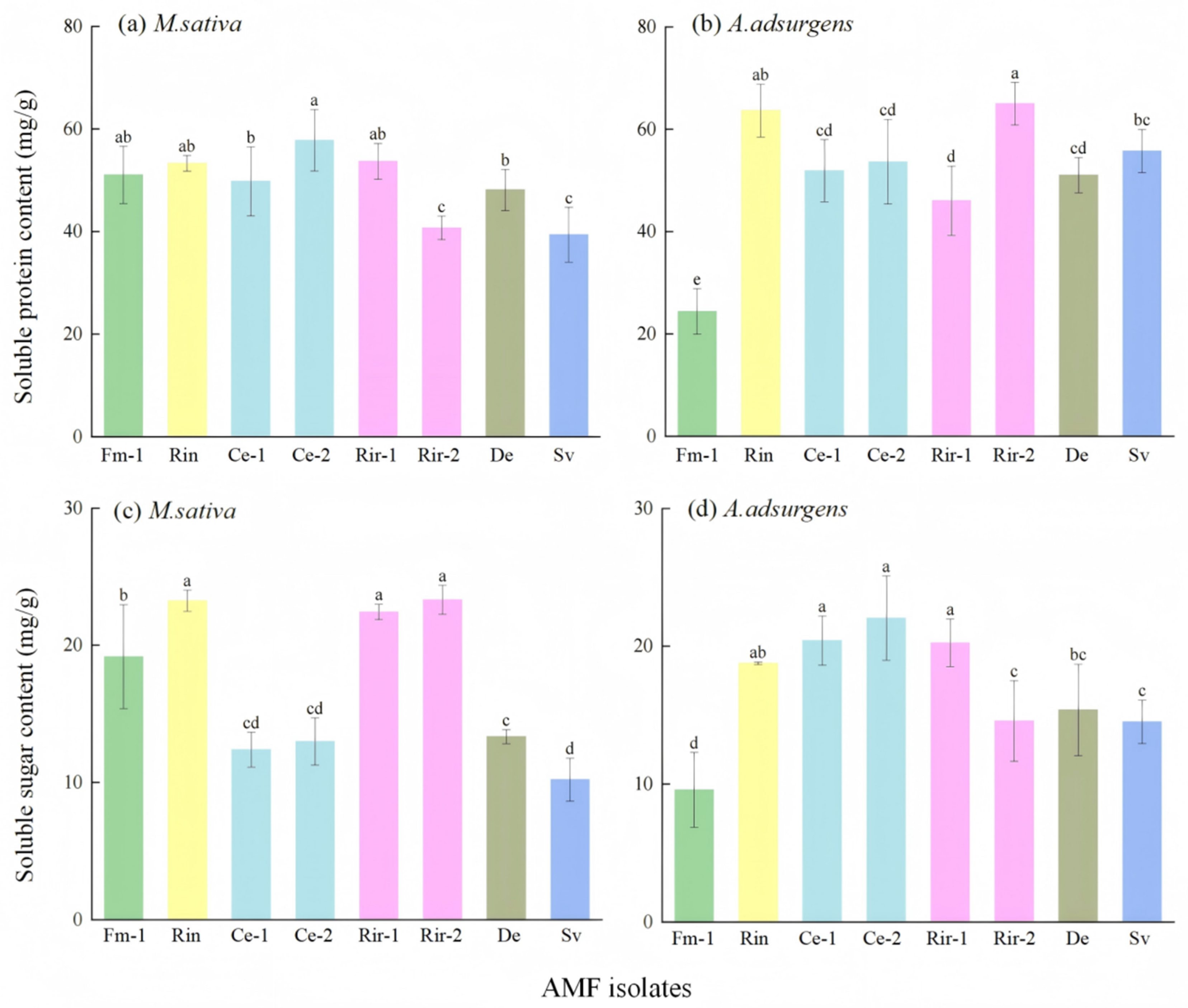 Screening of Salt-Tolerant Arbuscular Mycorrhizal Fungi and Their ...