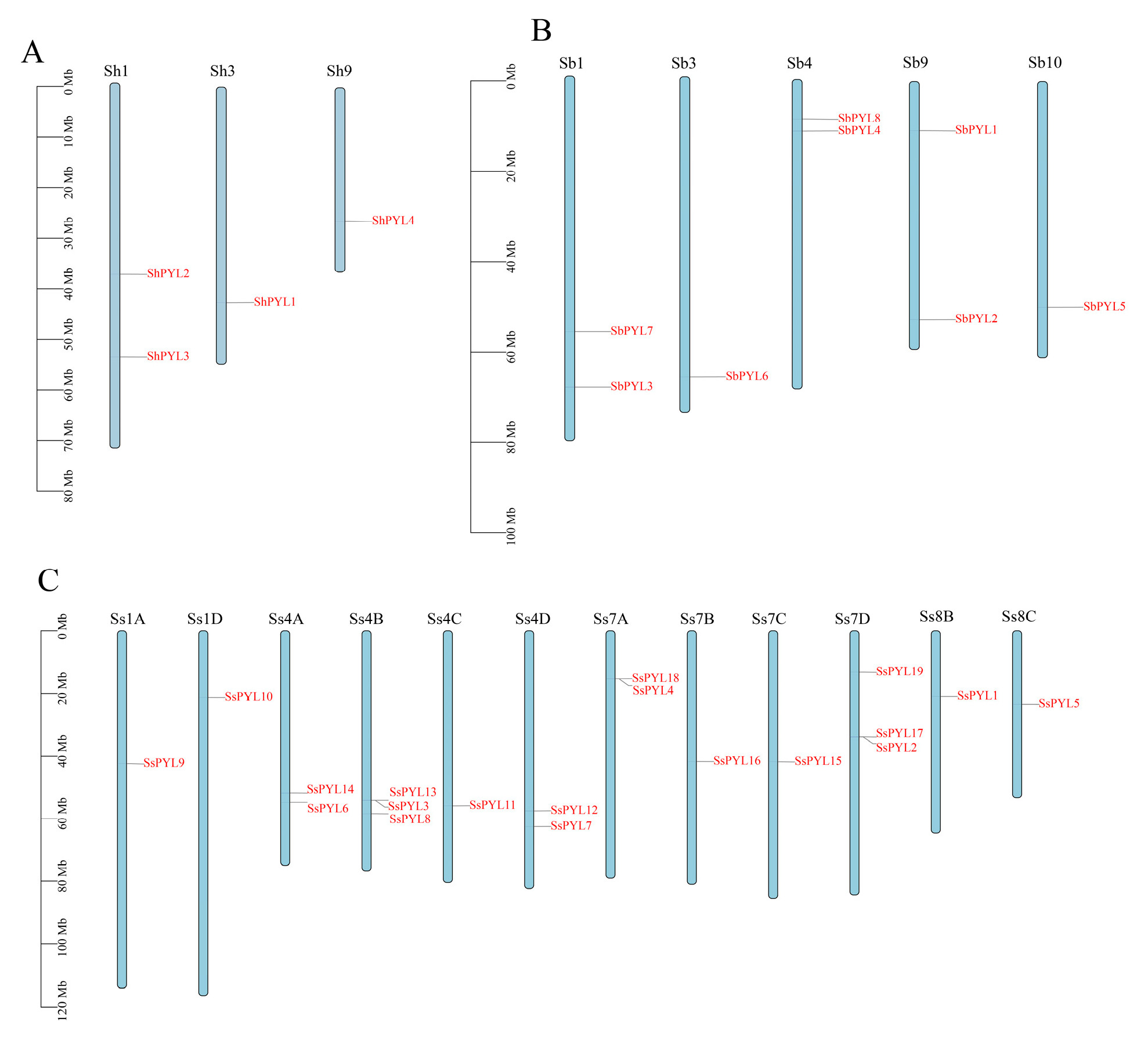 Genomic and Functional Analysis of the Abscisic Acid Receptor PYL Gene ...