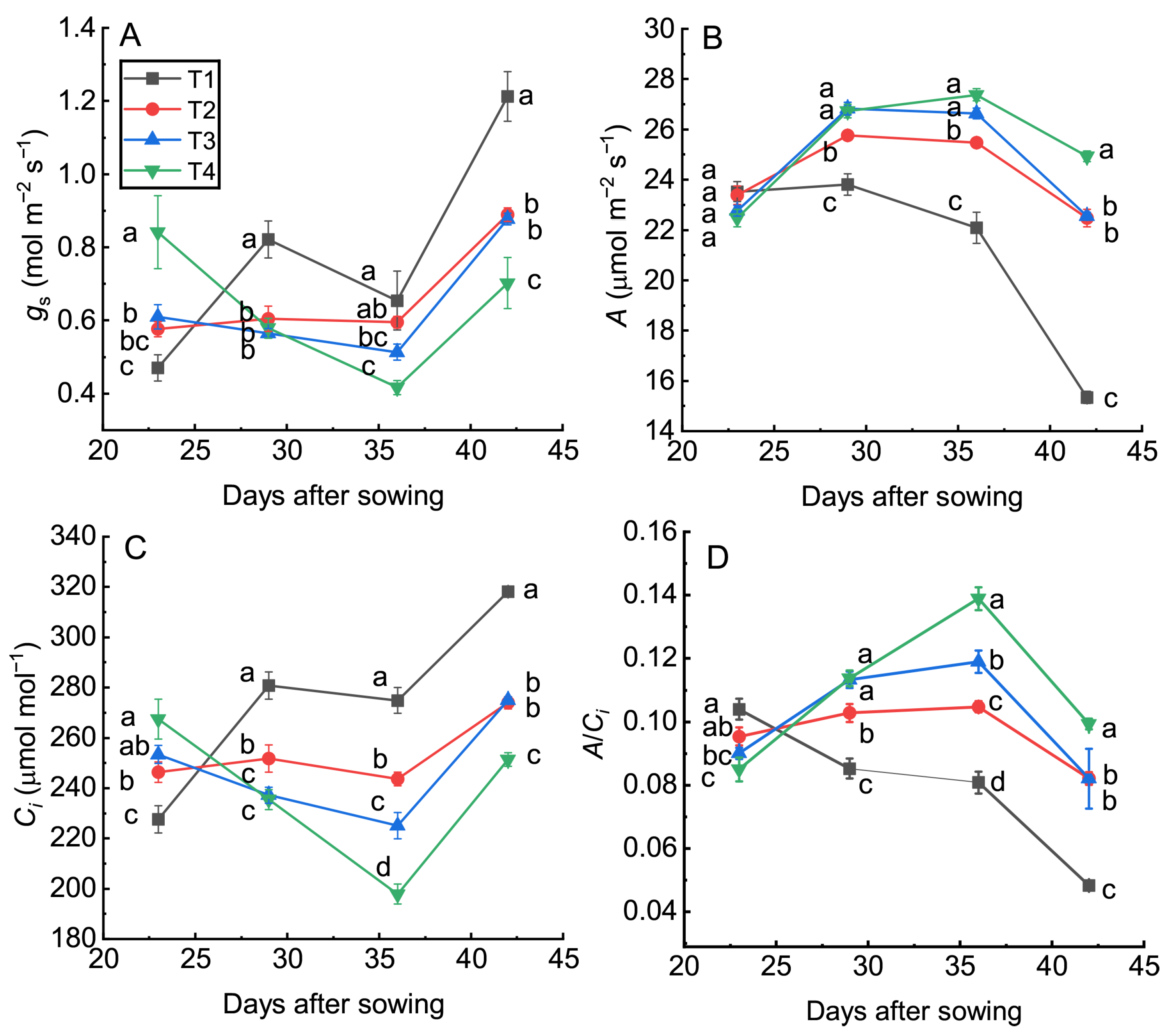 Sewage Sludge-Derived Biosolid and Bacillus aryabhattai as Bioinputs ...