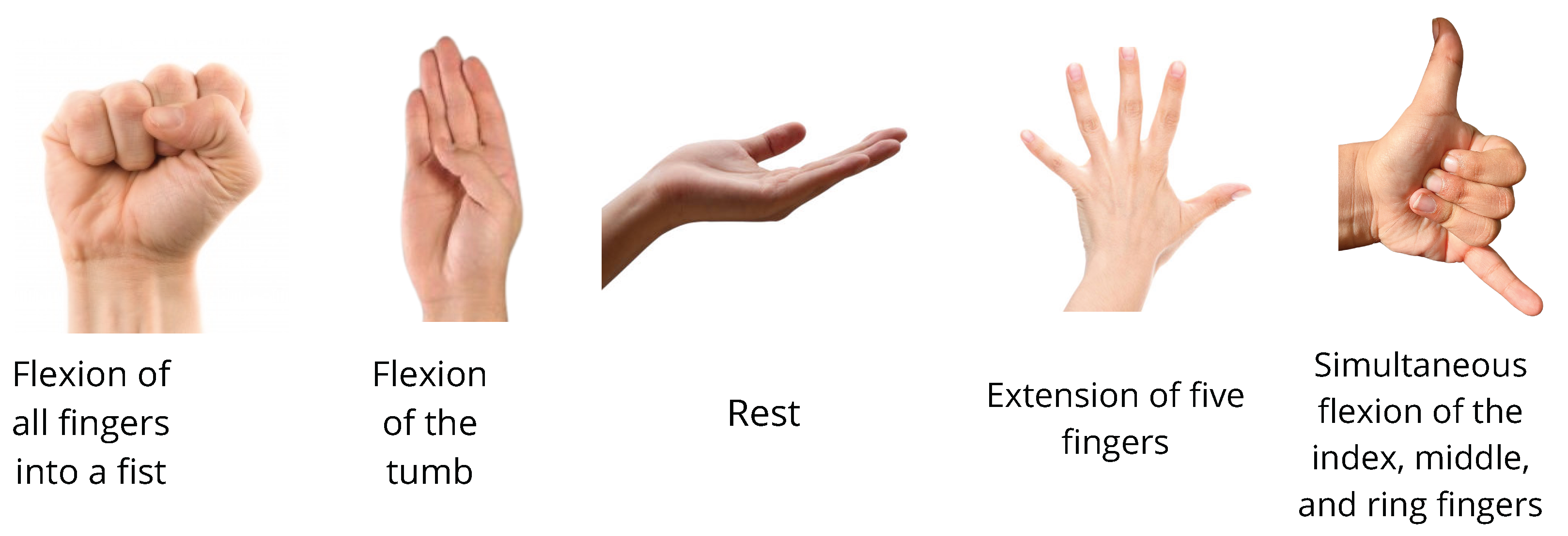 Effective Approach for Classifying EMG Signals Through Reconstruction ...