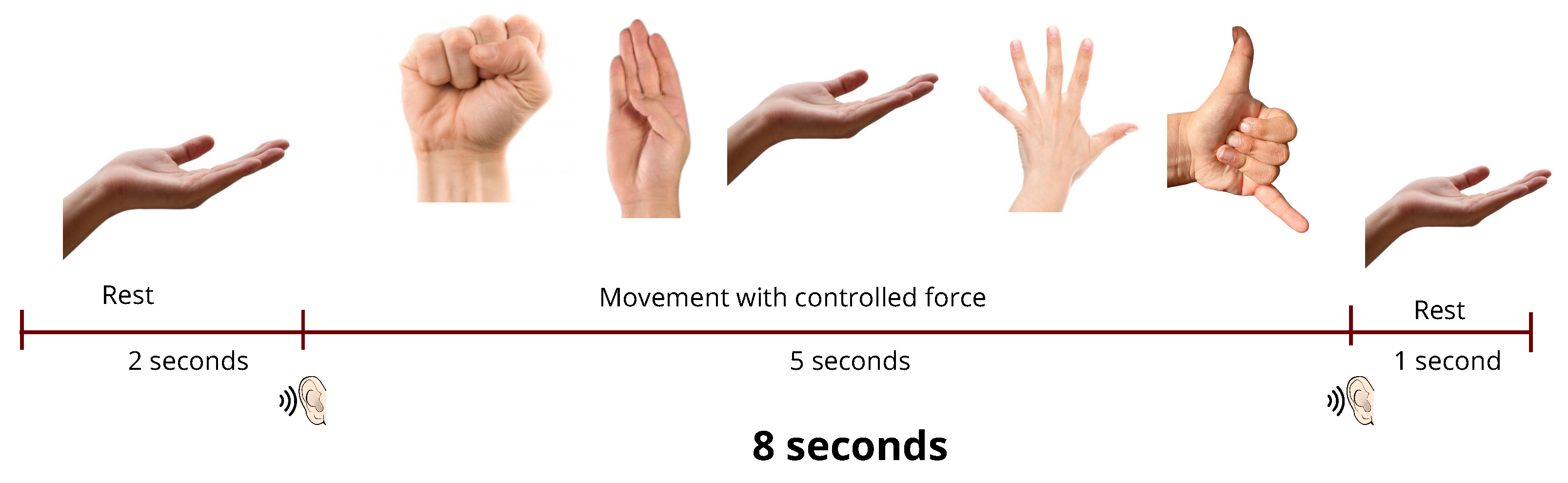Effective Approach for Classifying EMG Signals Through Reconstruction ...