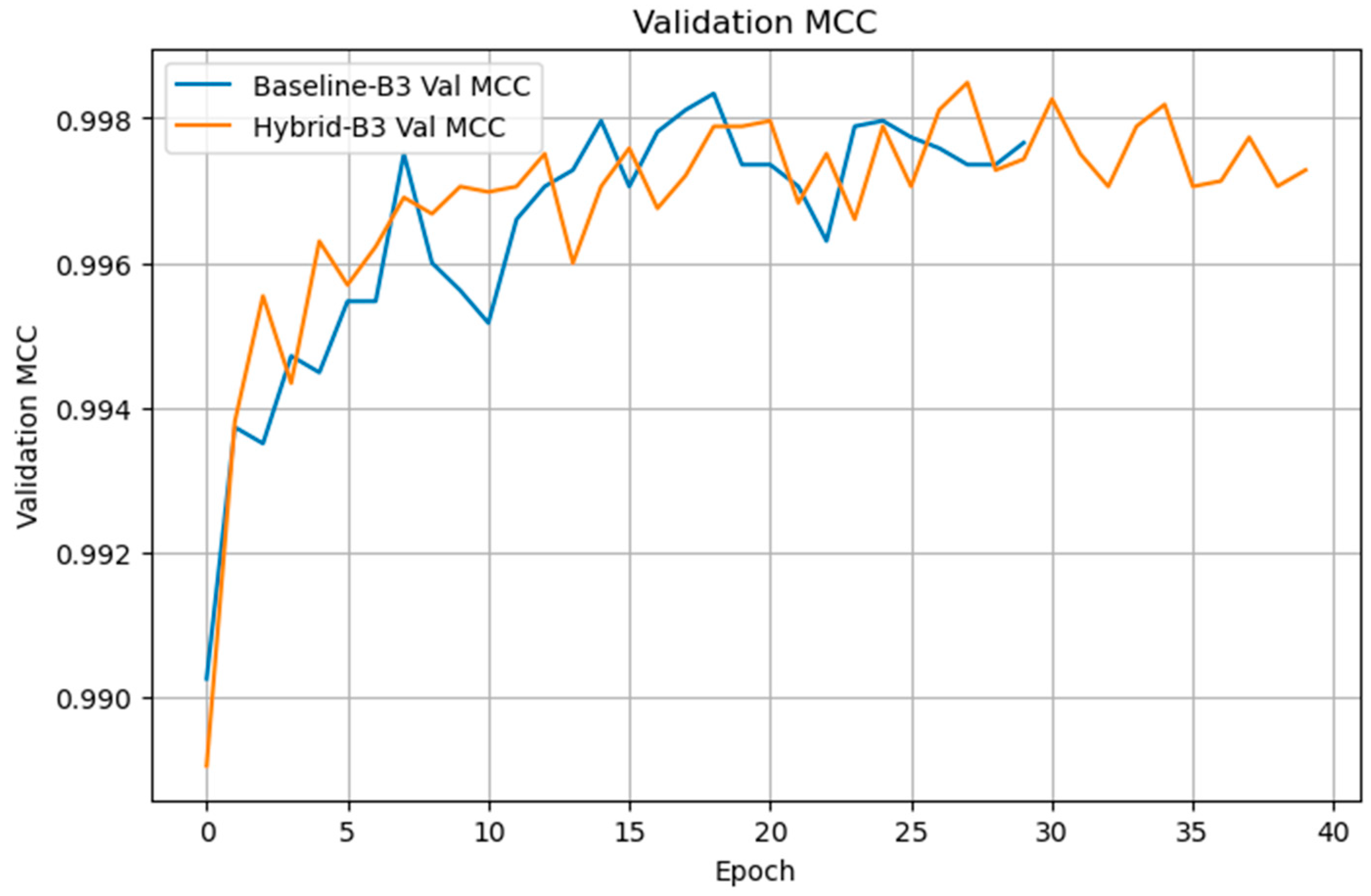 Hybrid Loss-Based Deep Learning Framework Using EfficientNet-B3 for ...