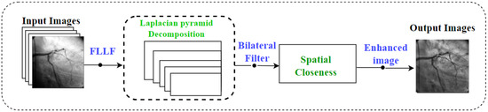 Fast Local Laplacian Filter Based on Modified Laplacian through Bilateral Filter for Coronary ...