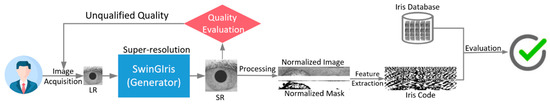 Algorithms | Free Full-Text | An Iris Image Super-Resolution Model Based on Swin Transformer and ...