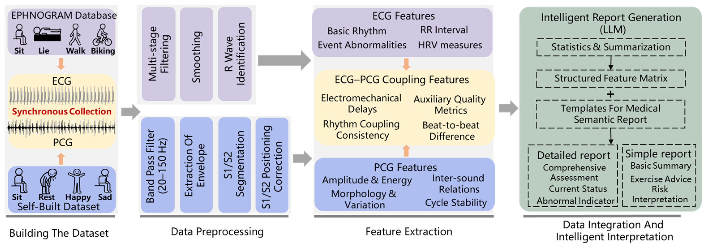 An Automated ECG-PCG Coupling Analysis System with LLM-Assisted ...