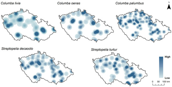Spatial Distribution and Habitat Overlap of Five Columbidae Species in ...