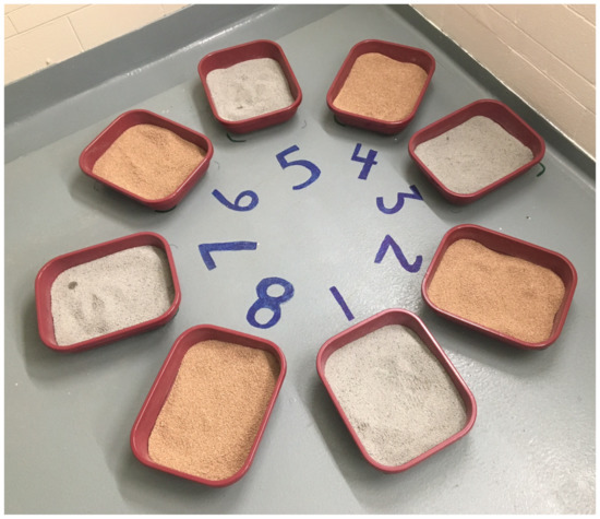 The Behavioural Impact on Cats during a Transition from a Clay-Based ...
