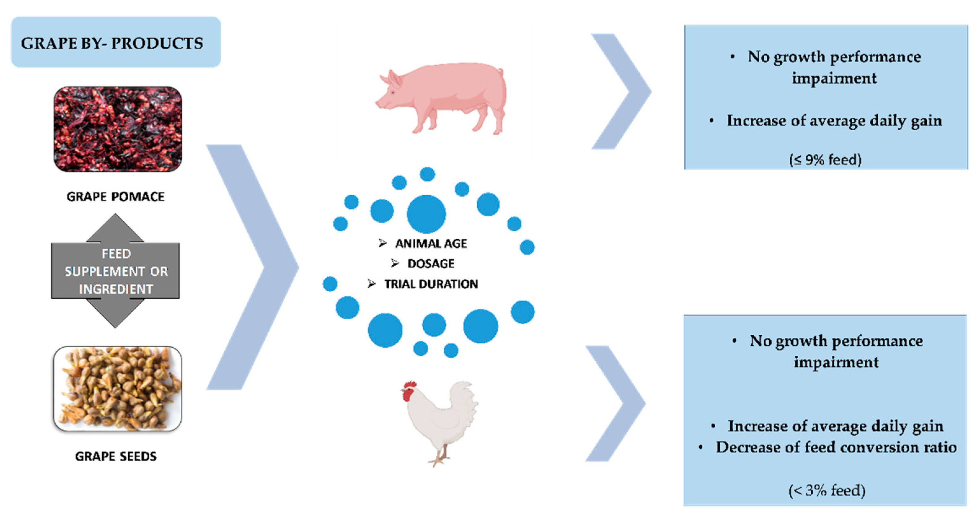 Animals Free Full Text Grape By Products As Feedstuff For Pig And Animals Free Full Text Grape By Products As Feedstuff For Pig And