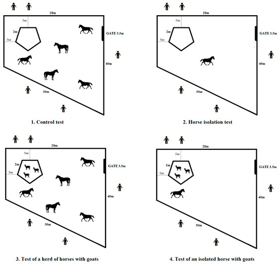 Animals | Free Full-Text | Minimizing the Effects of Social Isolation ...