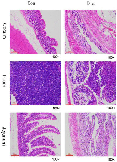 The Use of Metabolomics as a Tool to Compare the Regulatory Mechanisms ...