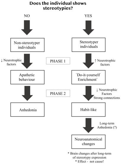 Changes in Stereotypies: Effects over Time and over Generations