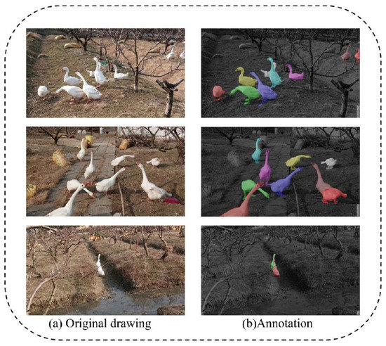 Study of a QueryPNet Model for Accurate Detection and Segmentation of ...