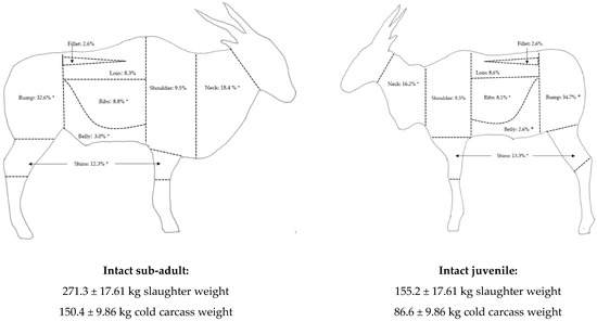 Carcass and Offal Yields of Farmed Common Eland (Taurotragus oryx ...