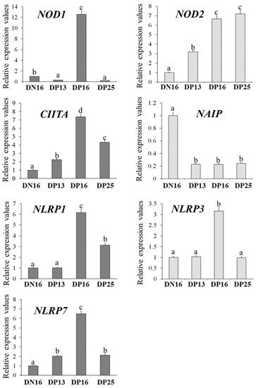 Early Pregnancy Modulates Expression of the Nod-like Receptor Family in ...