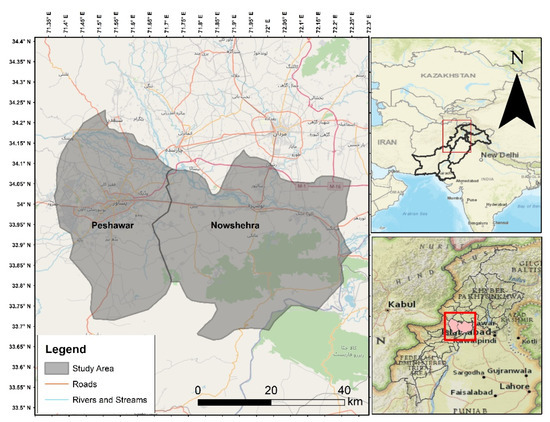 Animals | Free Full-Text | Impacts of the Wild Boar (Sus scrofa) on the ...