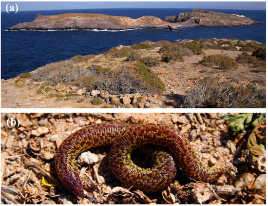 Hidden but Potentially Stressed: A Non-Invasive Technique to Quantify ...