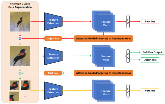 A Fine-Grained Bird Classification Method Based on Attention and Decoupled Knowledge Distillation