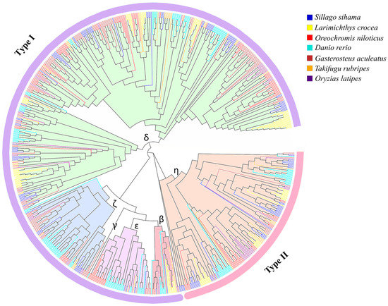 Genome-Wide Identification and Characterization of Olfactory Receptor ...