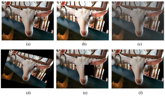SheepFaceNet: A Speed–Accuracy Balanced Model for Sheep Face Recognition