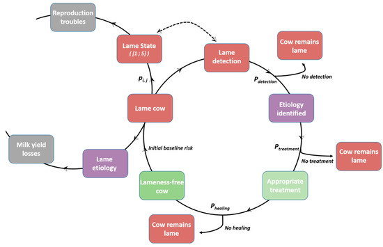 Animals | Free Full-Text | Management of Digital Dermatitis in Dairy ...