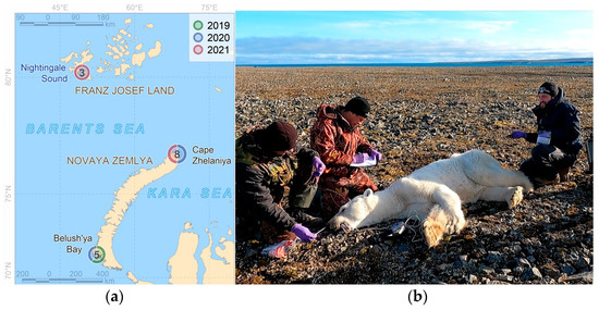 Anthropogenic Neighborhood Impact on Bacterial and Fungal Communities ...