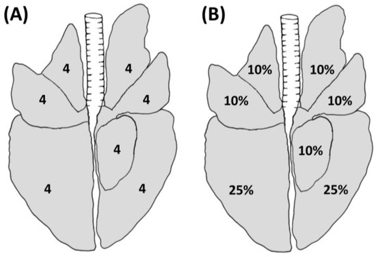 Comparing Visual-Only and Visual-Palpation Post-Mortem Lung Scoring ...