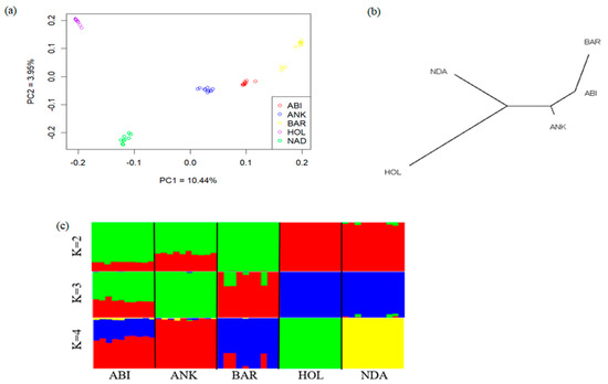 Whole-Genome Resequencing Reveals Selection Signatures of Abigar Cattle ...