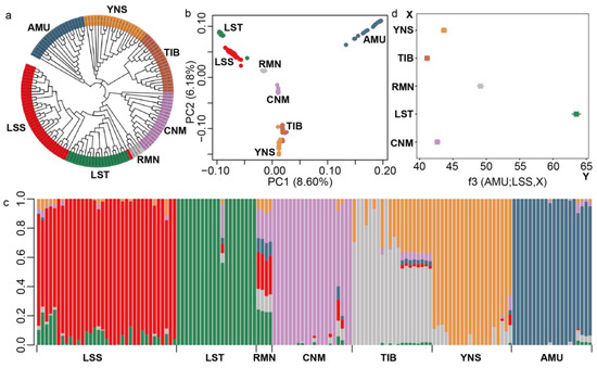 Whole-Genome Resequencing Reveals Genetic Diversity and Wool Trait ...